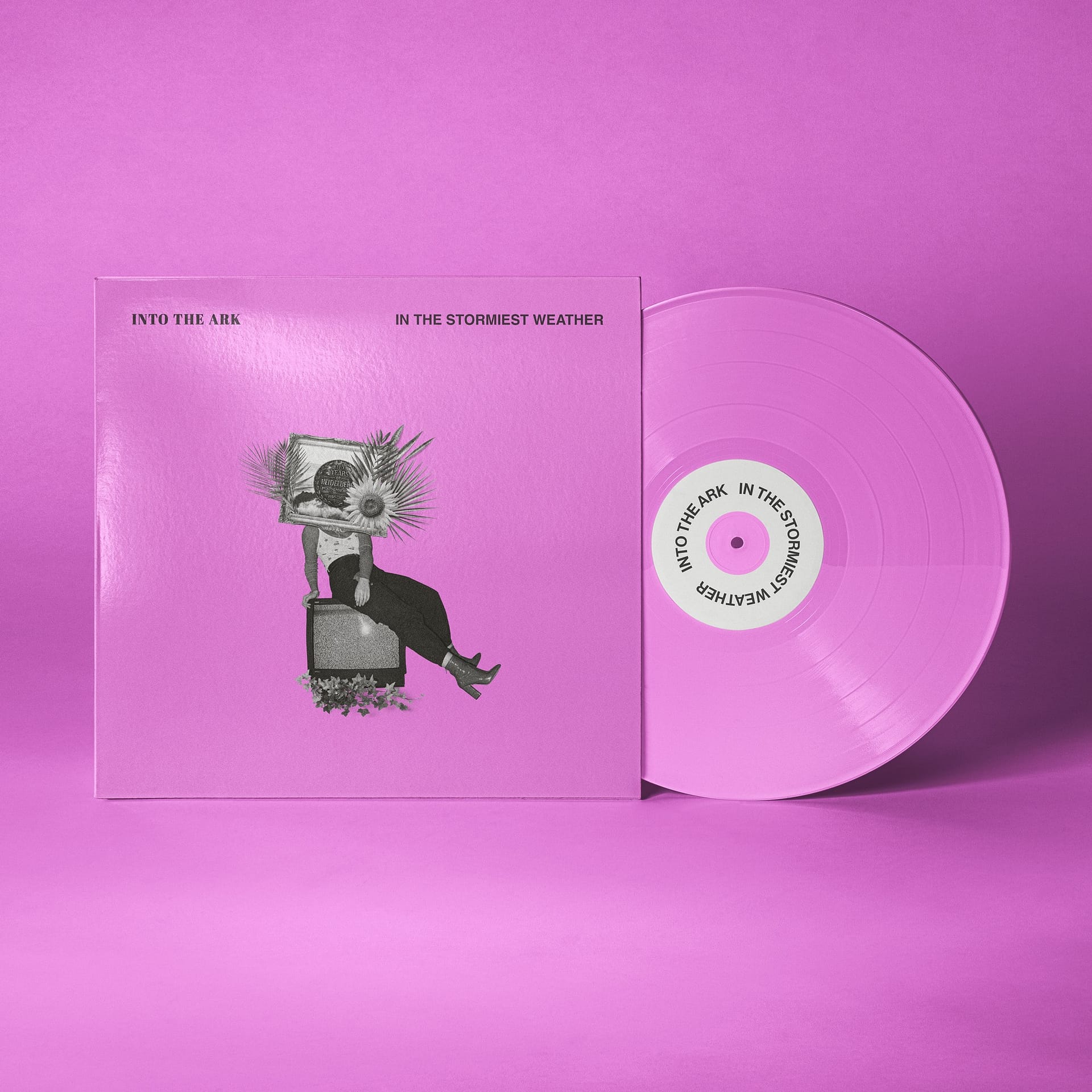 Our journey with Into The Ark - STUDIO HICKS